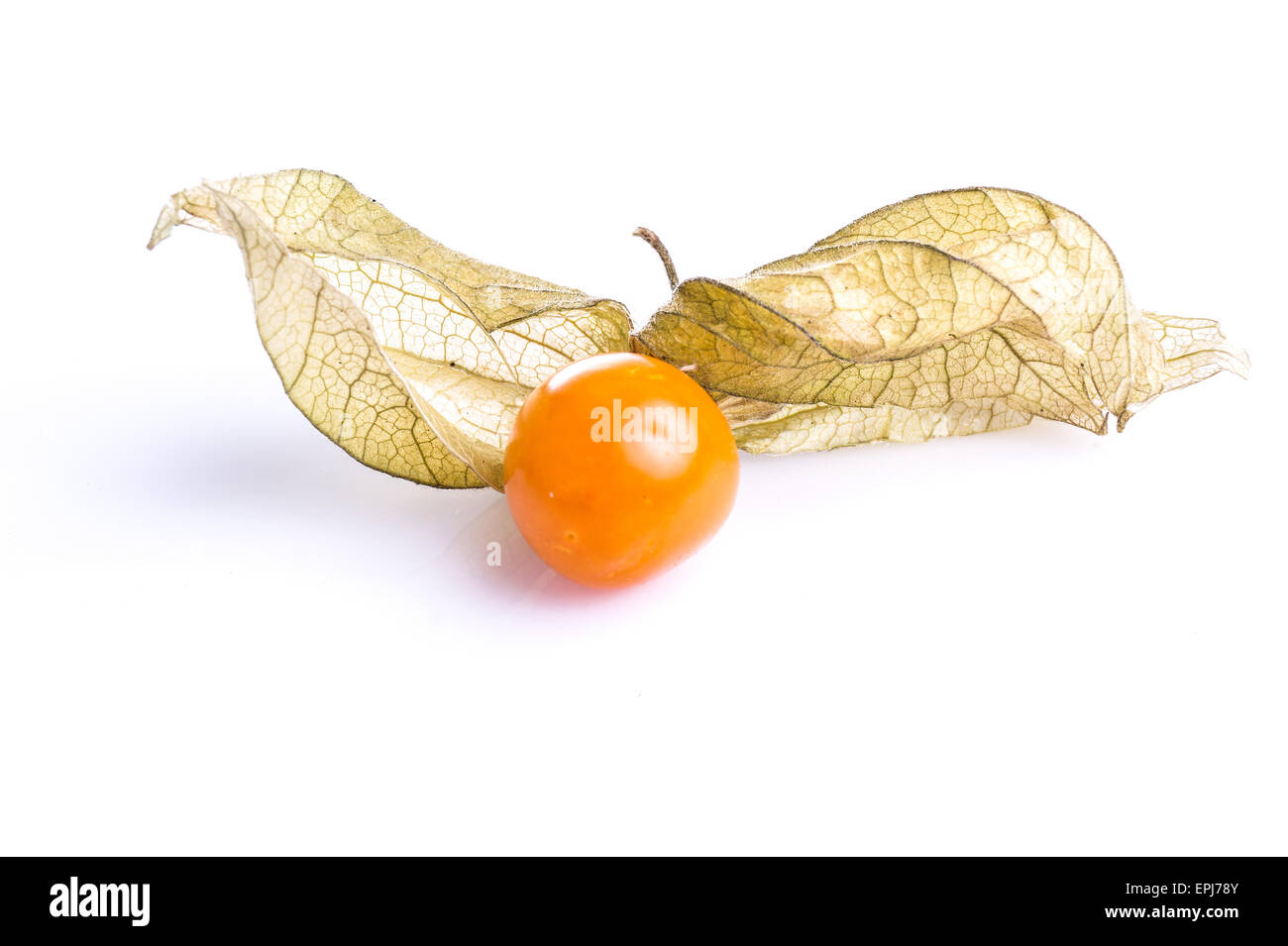 Healthy fresh Gooseberry Cape isolated on white Stock Photo - Alamy