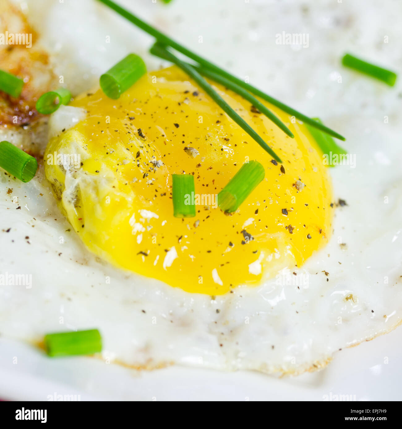 Eidotter hi-res stock photography and images - Alamy