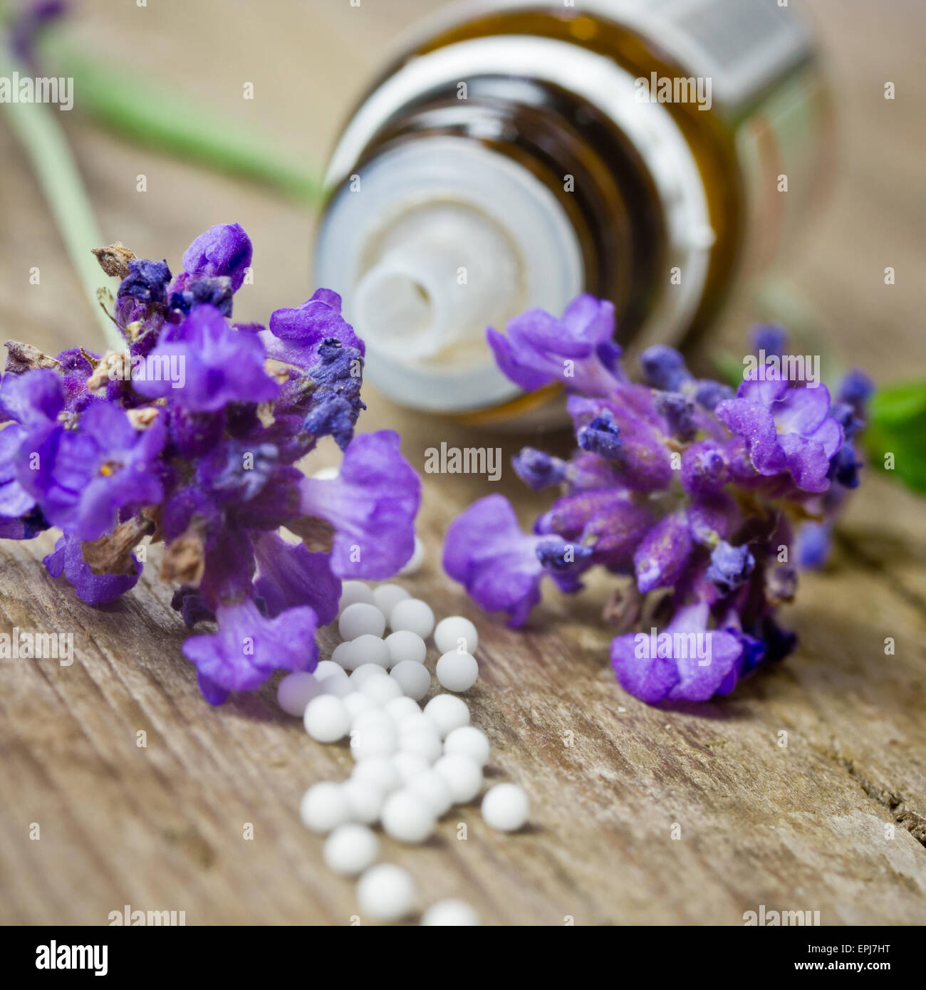 Homeopathy globules flower hi-res stock photography and images - Alamy