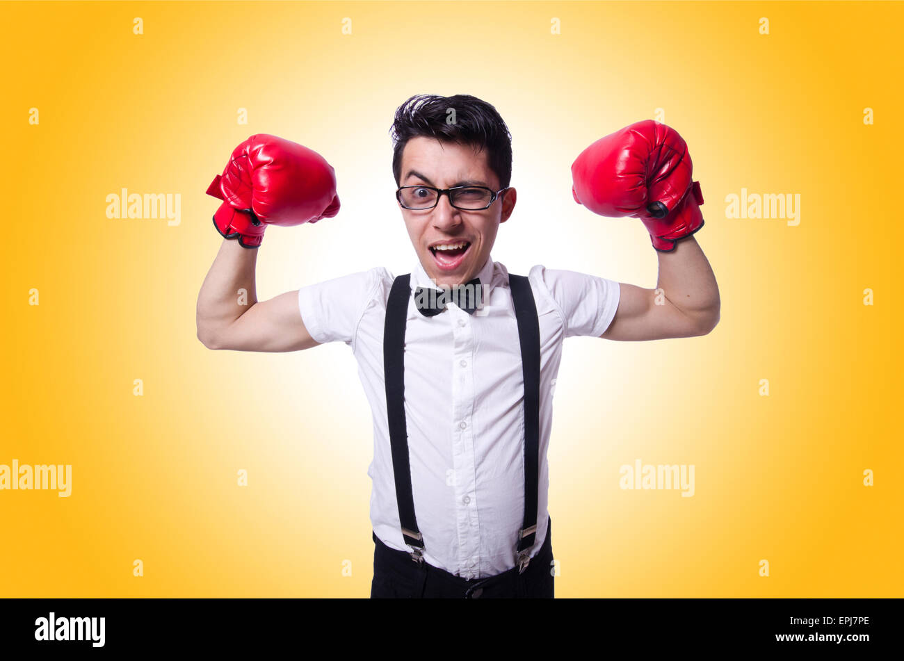 Funny boxer isolated on the white background Stock Photo - Alamy