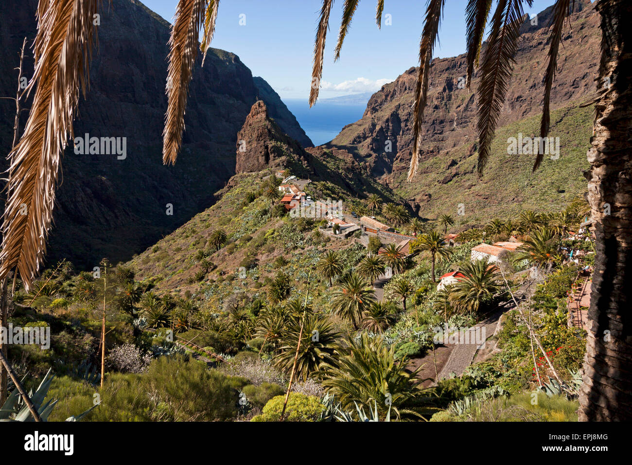 Masca Gorge and village, Teno Mountains, Tenerife, Canary Islands ...
