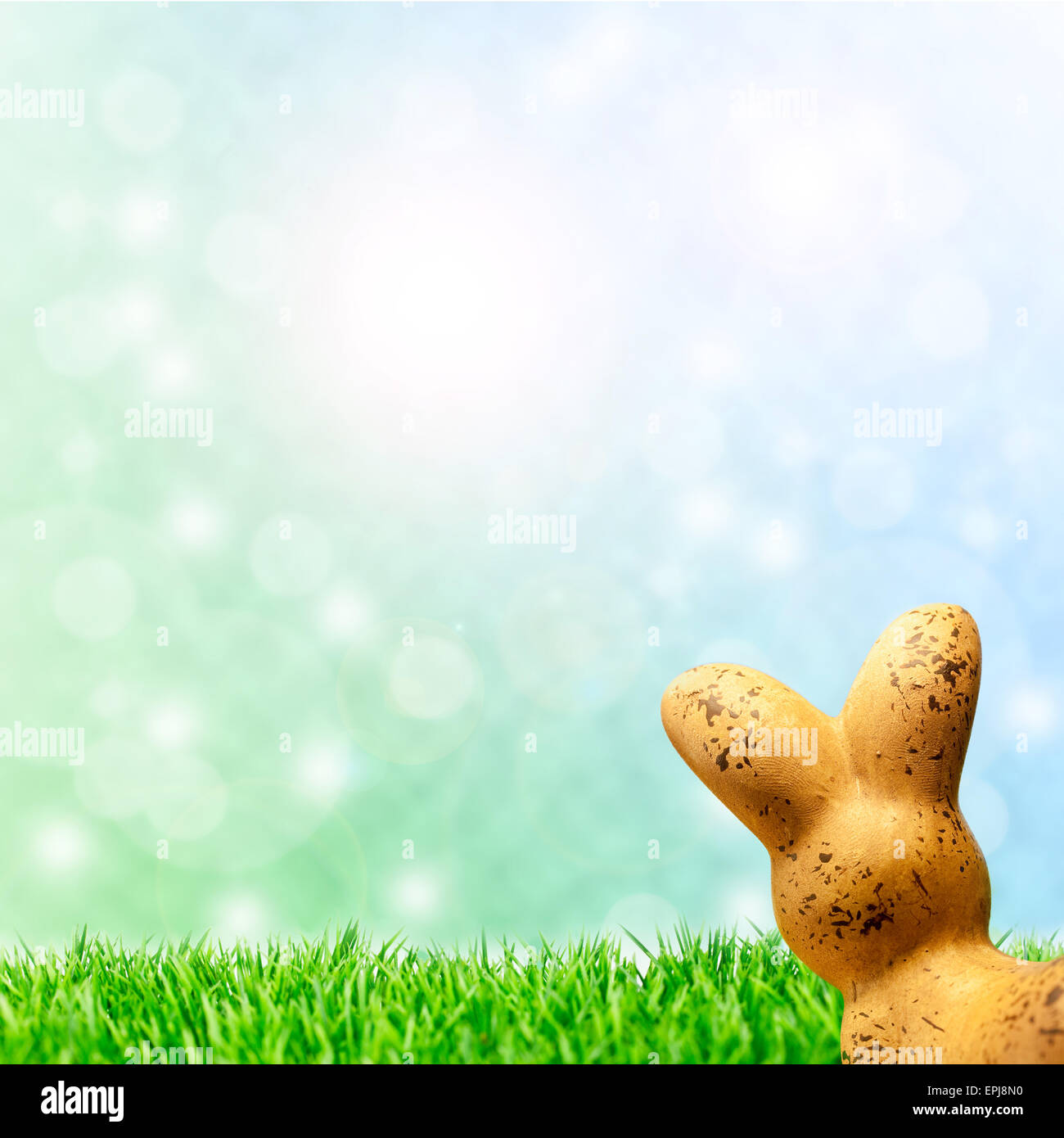 Sun bunny hi-res stock photography and images - Alamy