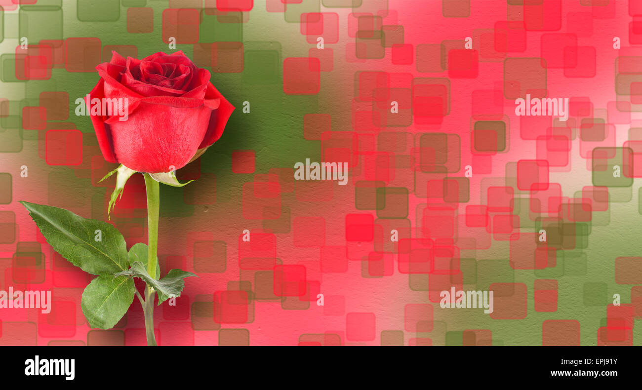 Vermilion roses hi-res stock photography and images - Alamy