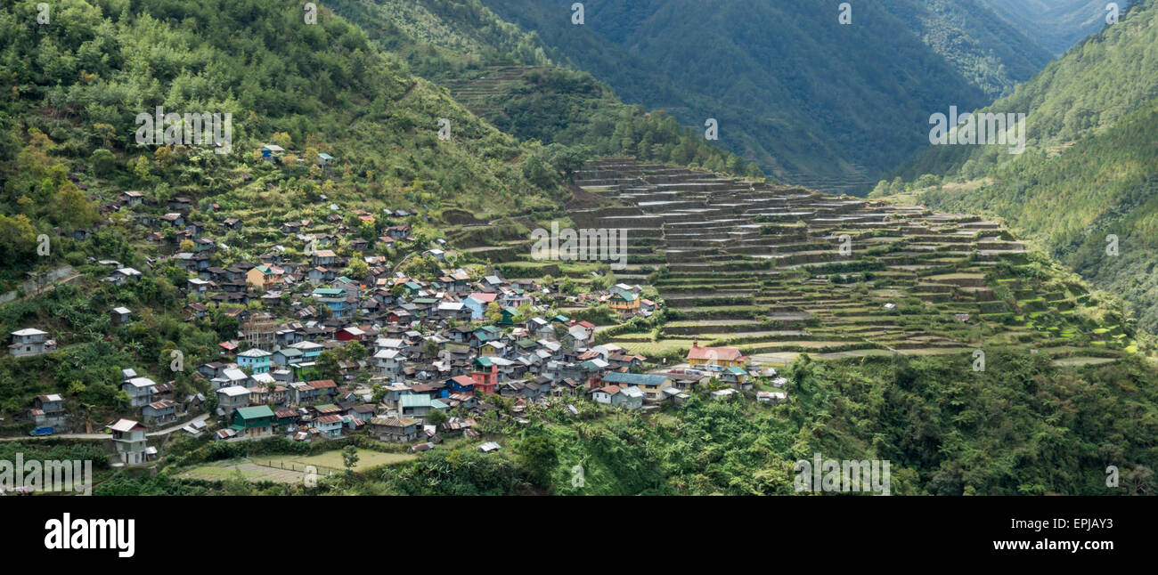 Bayo rice terraces Stock Photo - Alamy