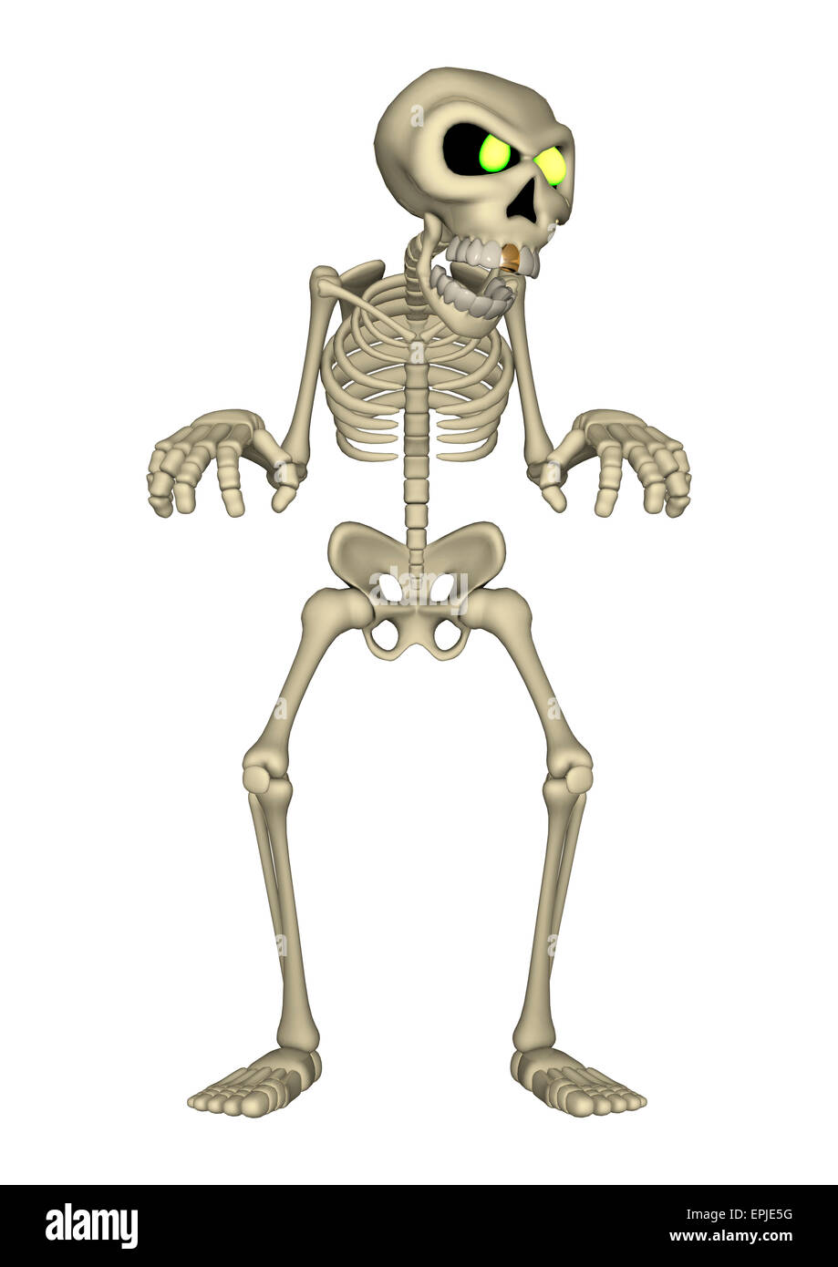 3D digital render of a cartoon human skeleton isolated on white ...