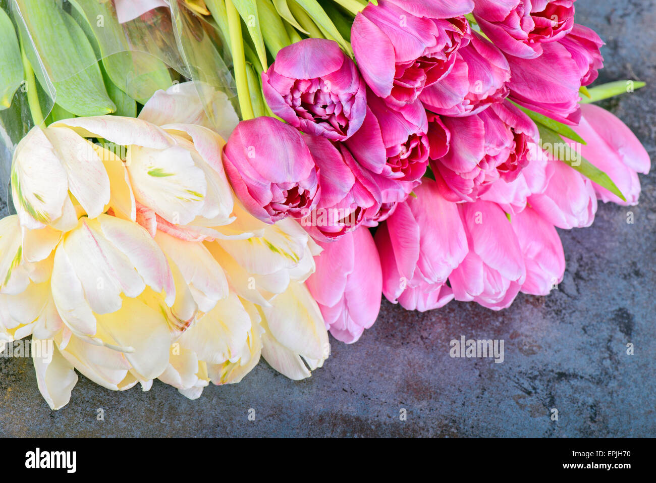 Bouquet of fresh tulips Stock Photo - Alamy