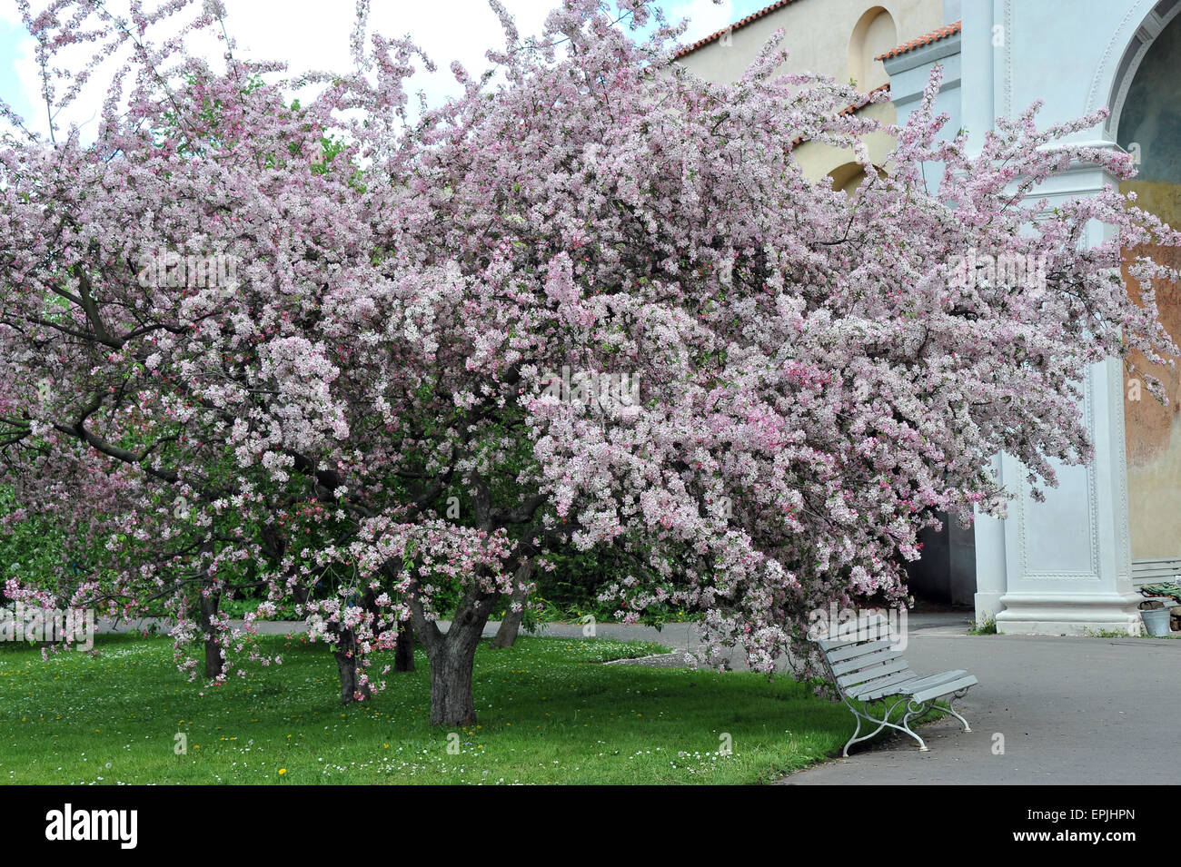 Promise of spring hi-res stock photography and images - Alamy