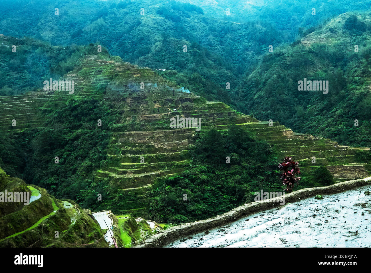 Amazing panorama view of rice terraces fields in Ifugao province ...