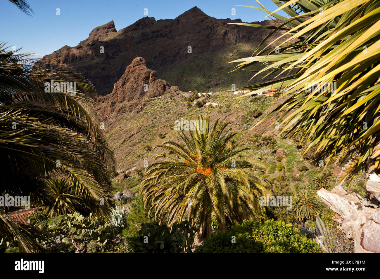 Masca Gorge and village, Teno Mountains, Tenerife, Canary Islands ...