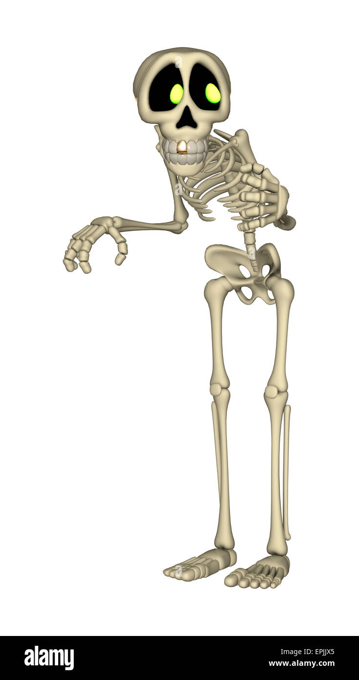 3D digital render of a cartoon human skeleton isolated on white ...