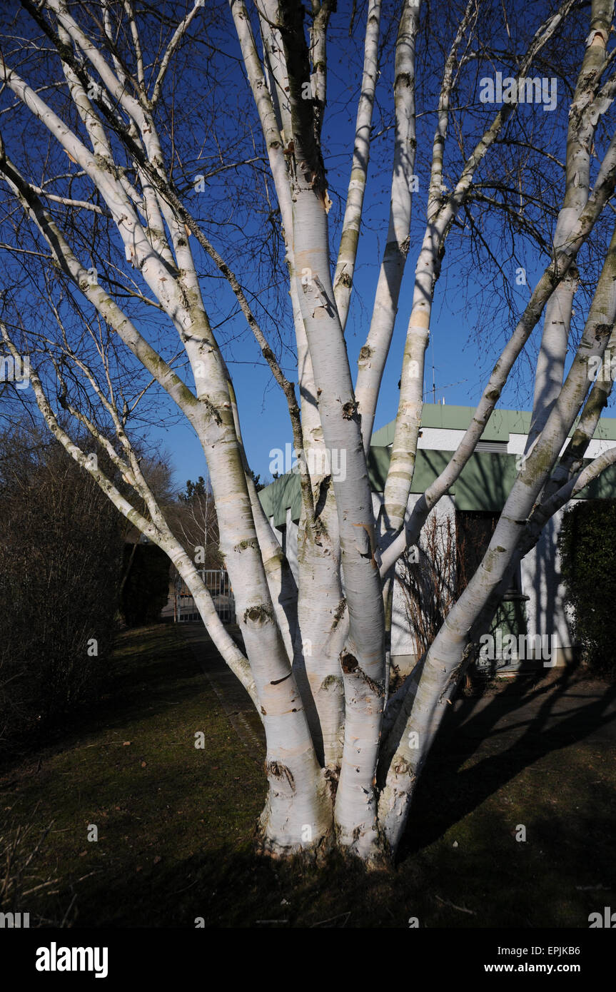 Ermans hi-res stock photography and images - Alamy