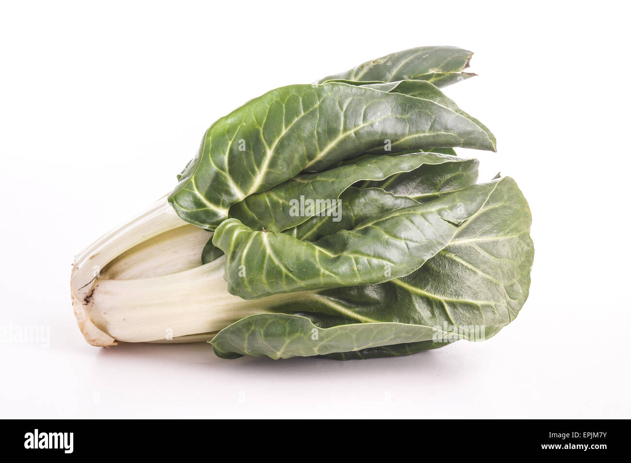 Fresh organic Mangold isolated on White background Stock Photo - Alamy