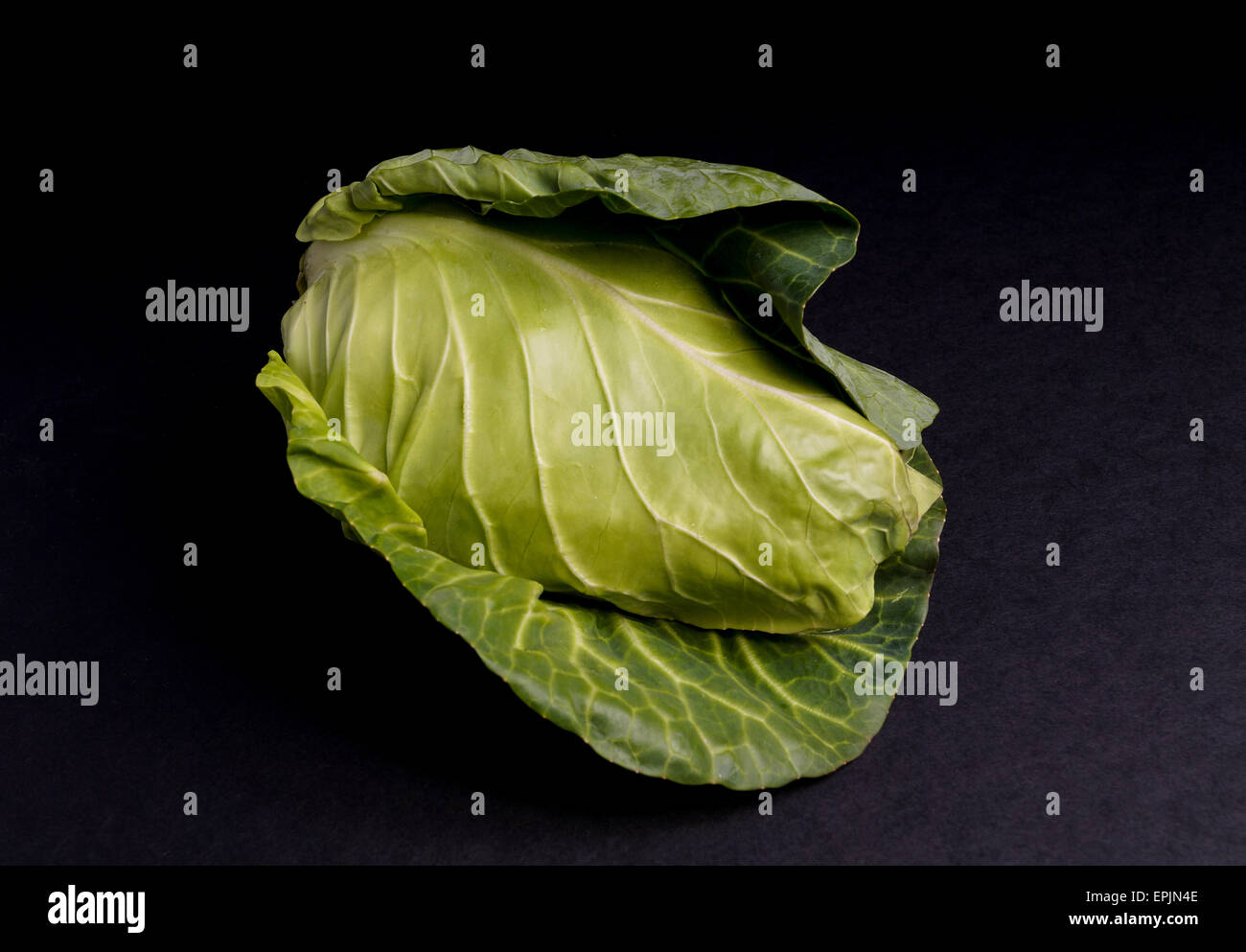 Spring cabbage isolated hi-res stock photography and images - Alamy
