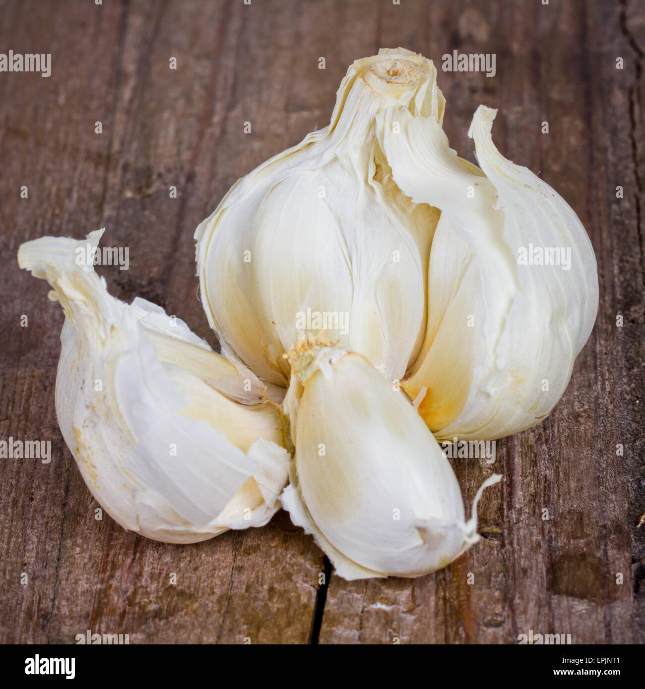 Gatronomie hi-res stock photography and images - Alamy