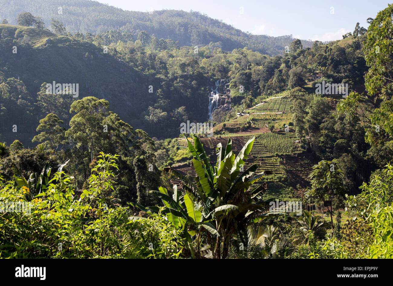 Little Rawana or Ravana Falls waterfall, Ella, Badulla District, Uva ...