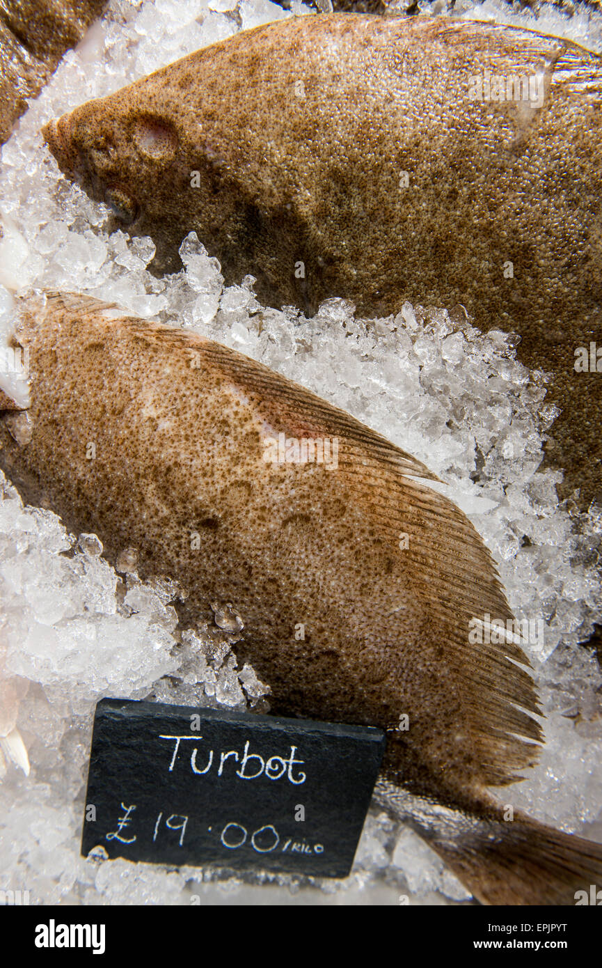 Turbot fish hi-res stock photography and images - Alamy