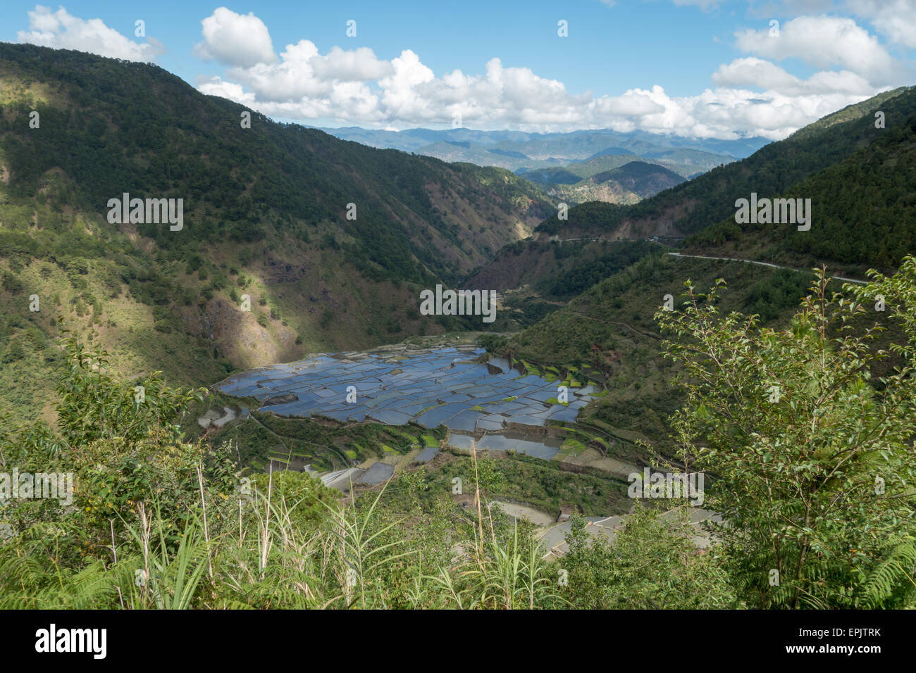 Bayo rice terraces Stock Photo - Alamy