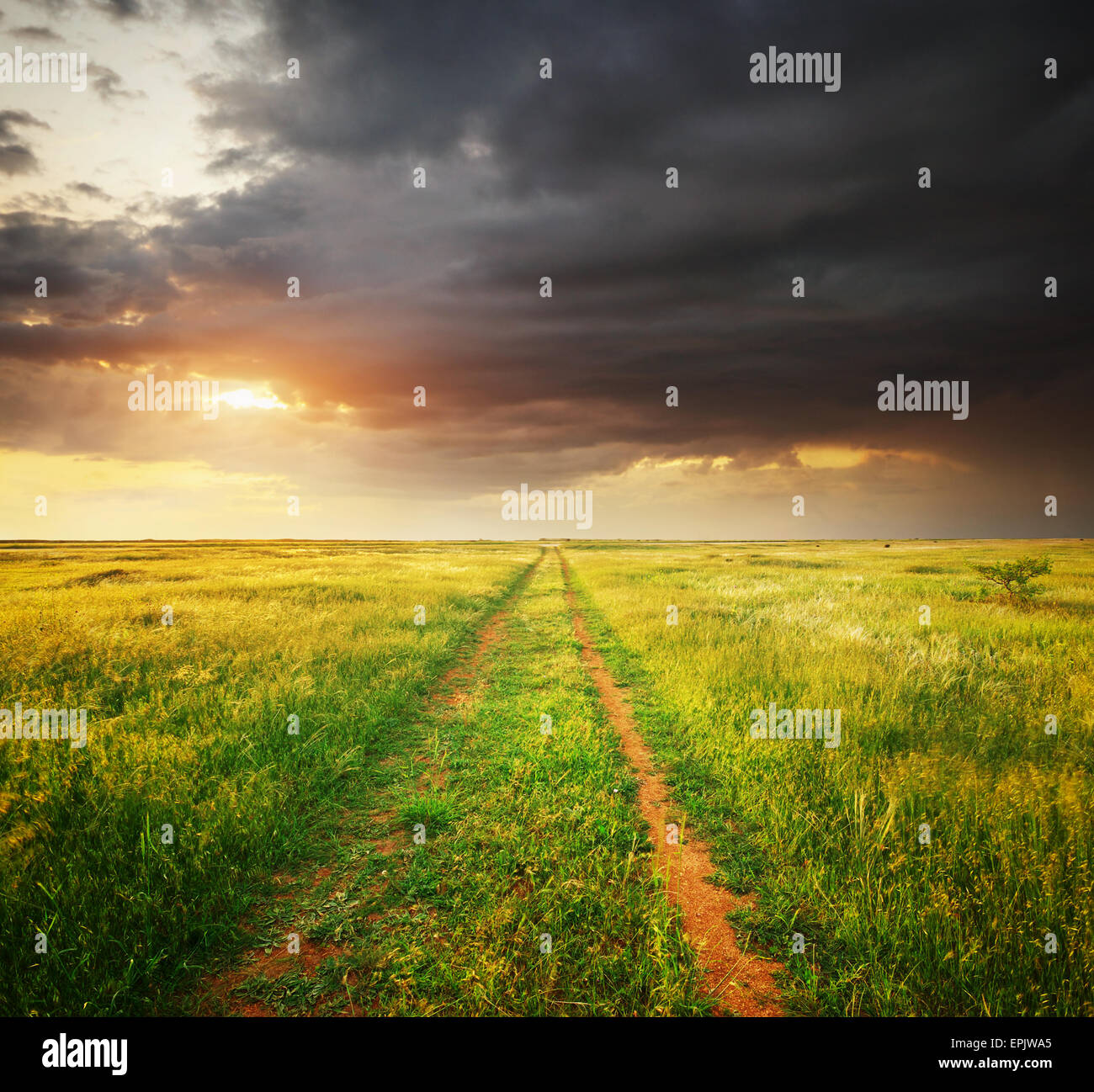 Lane meadow hi-res stock photography and images - Alamy