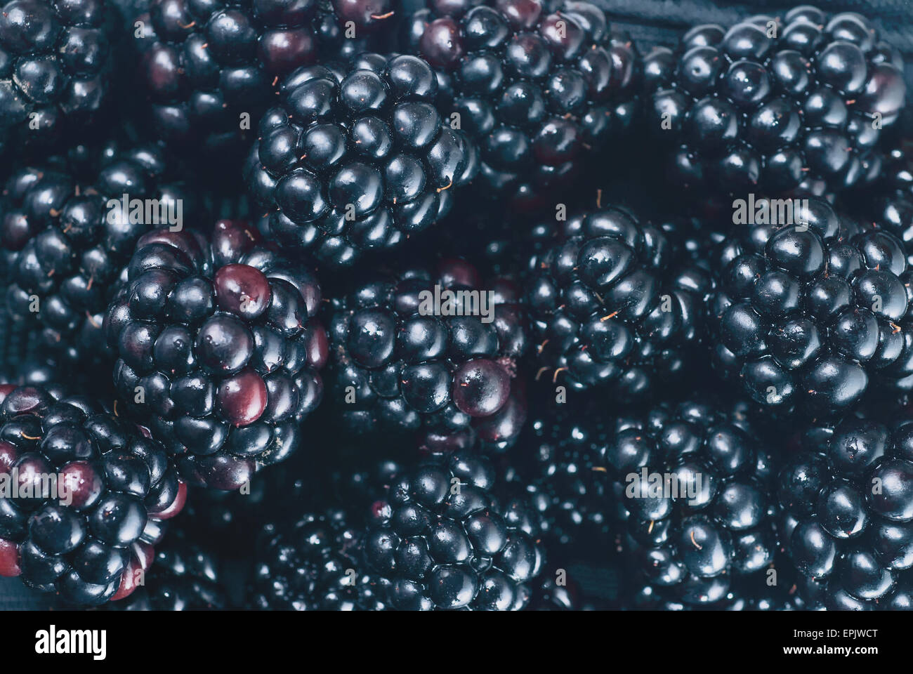 background from blackberry Stock Photo - Alamy