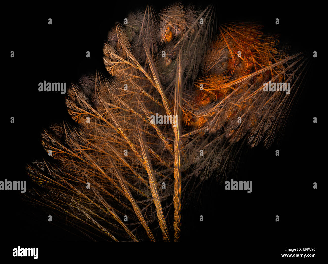 Cops Of Trees Stock Photo - Alamy