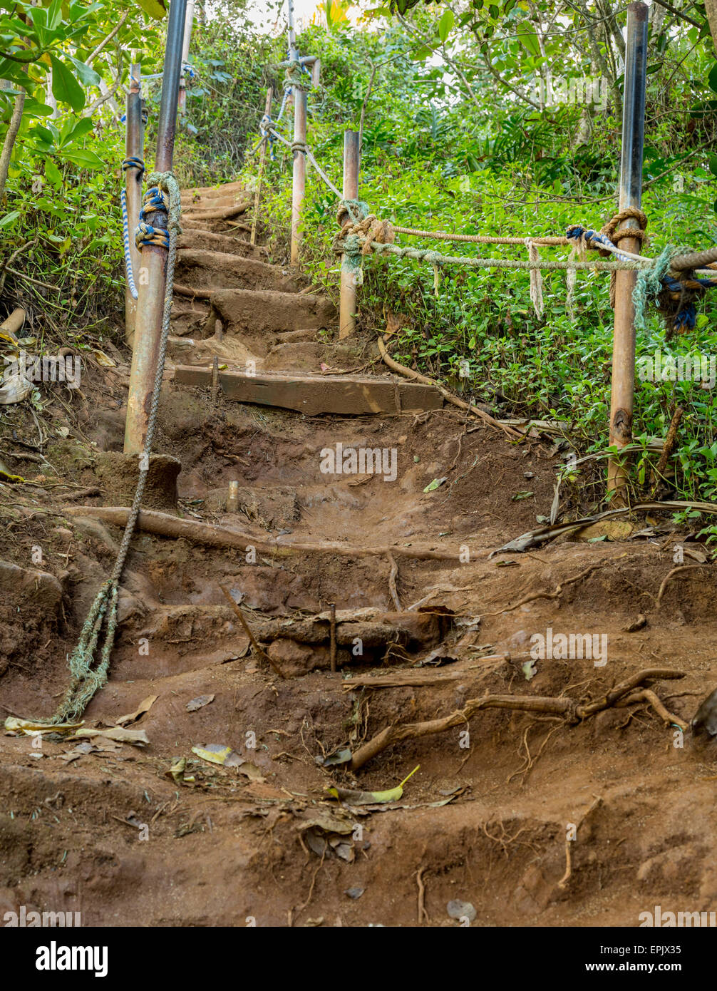 Steep climb on dirt path up hillside Stock Photo - Alamy