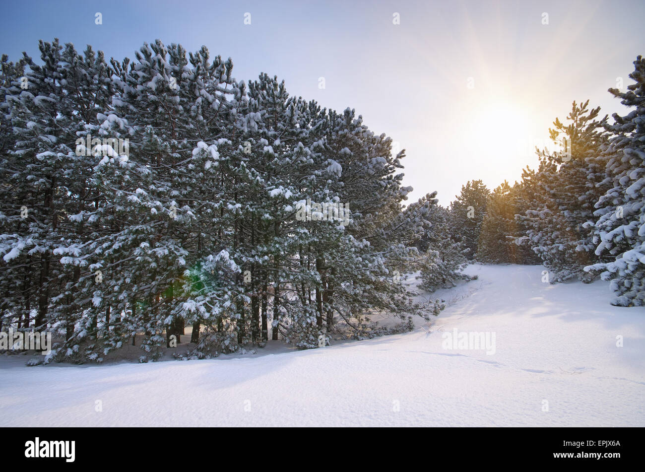Winter landscape. Composition of nature Stock Photo - Alamy