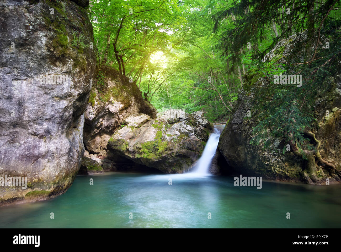 Spring rill flow. Nature composition Stock Photo - Alamy