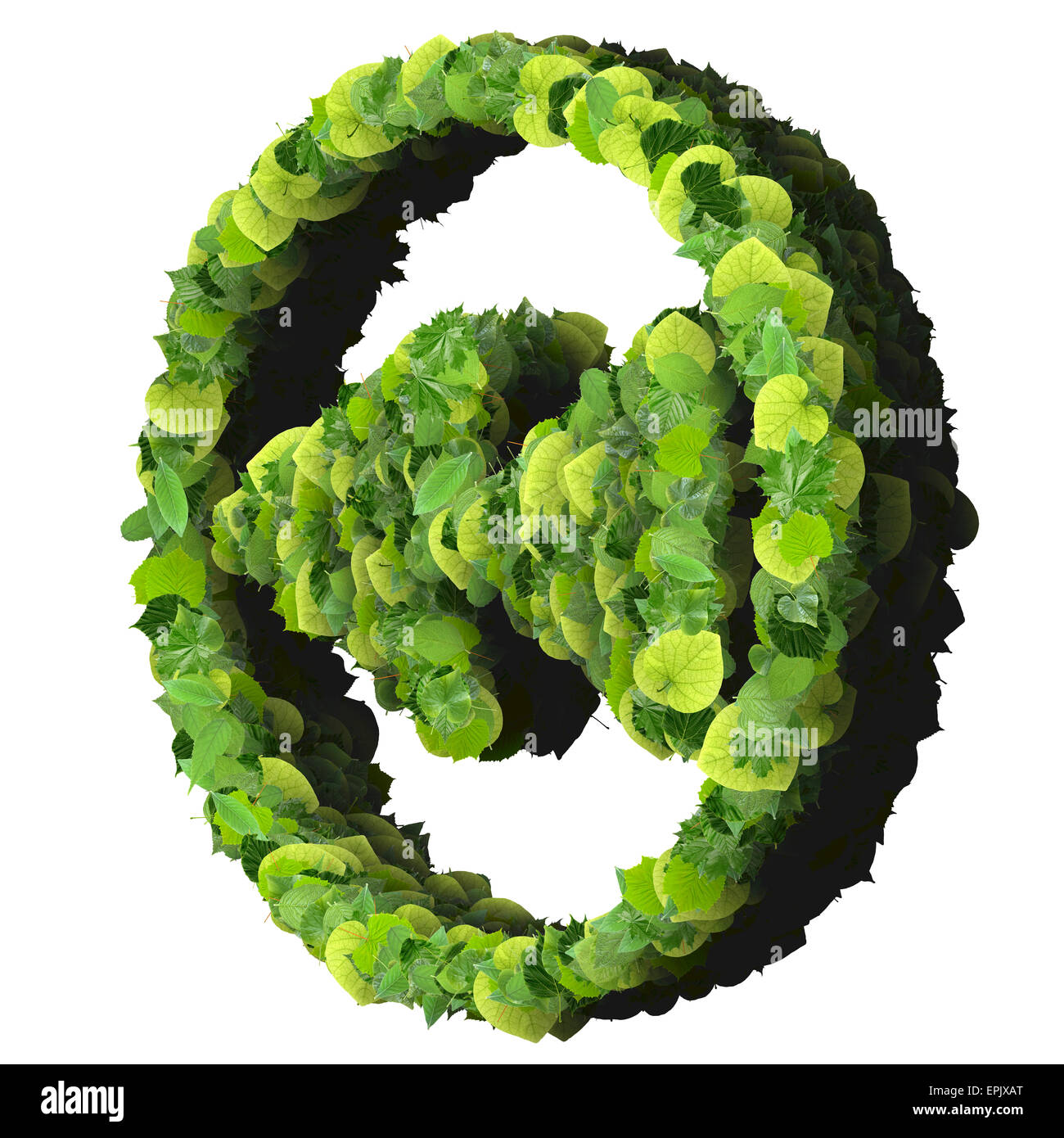 Media control backward / forward icon, made from green leaves isolated ...