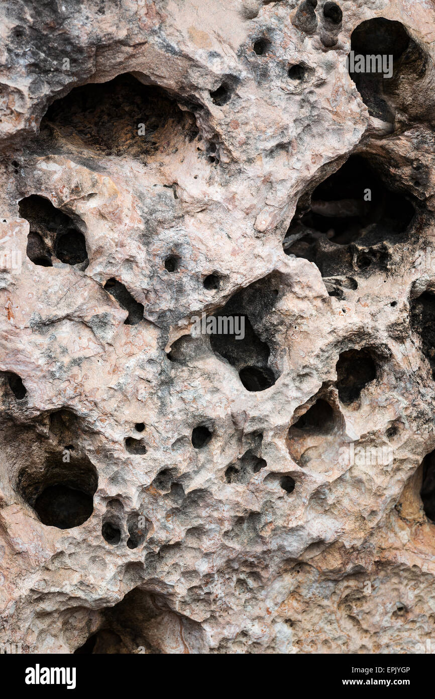 stone with holes Stock Photo - Alamy