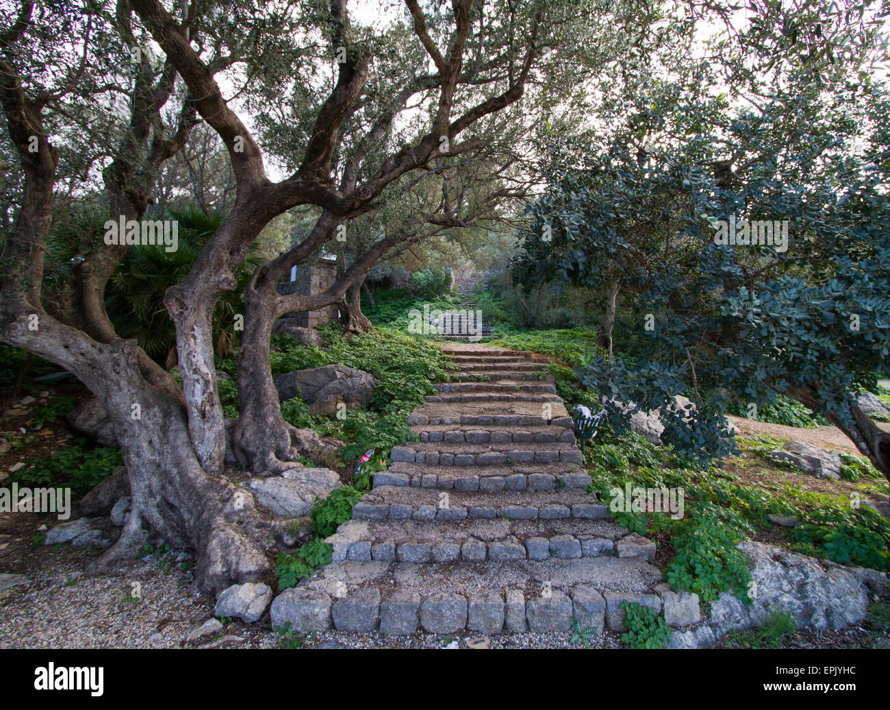 A stone stairway in a Mediterranean park Stock Photo - Alamy