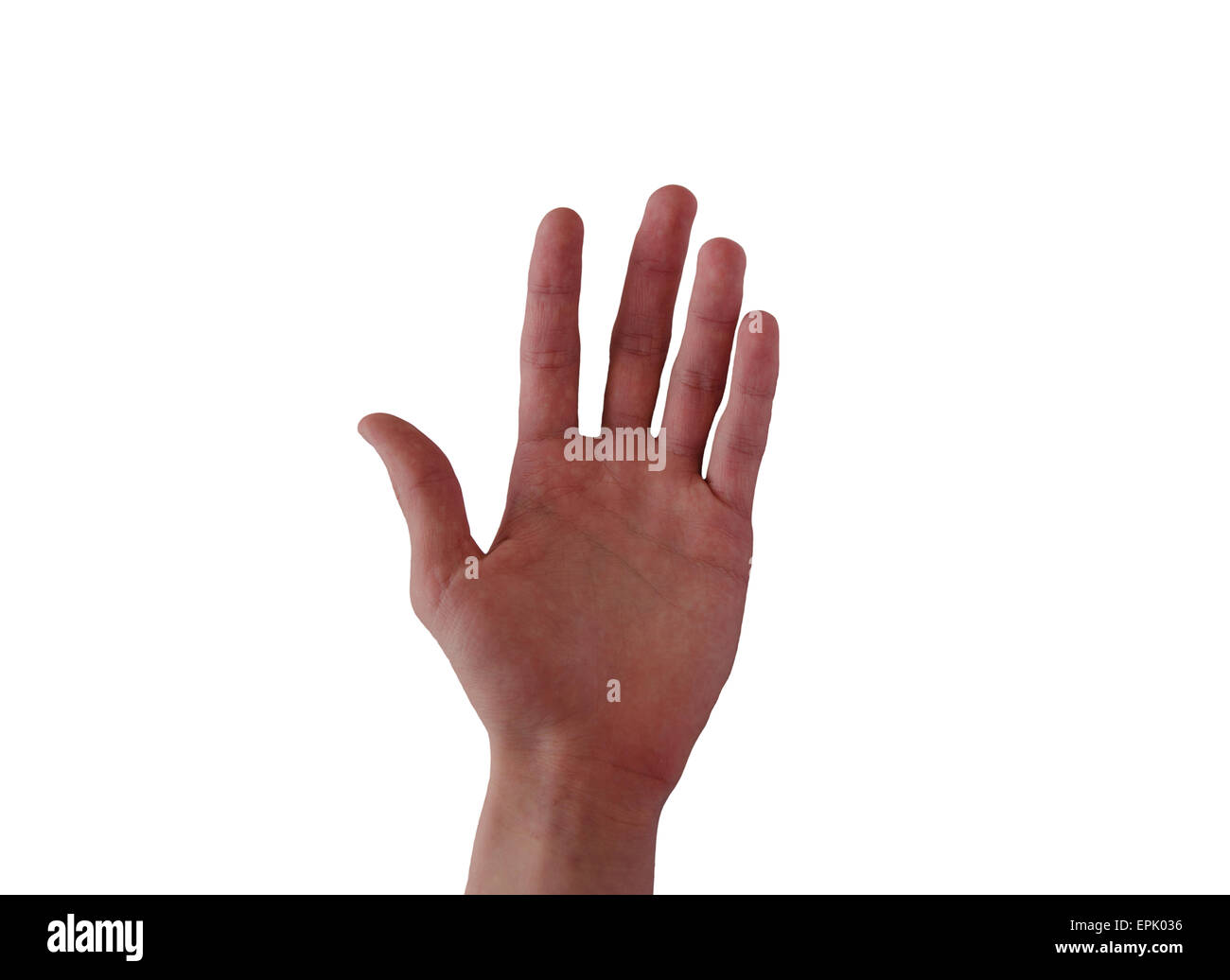 Human hand up on the white isolated background Stock Photo - Alamy