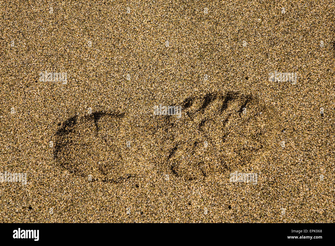 Boot print in the sand hi-res stock photography and images - Alamy