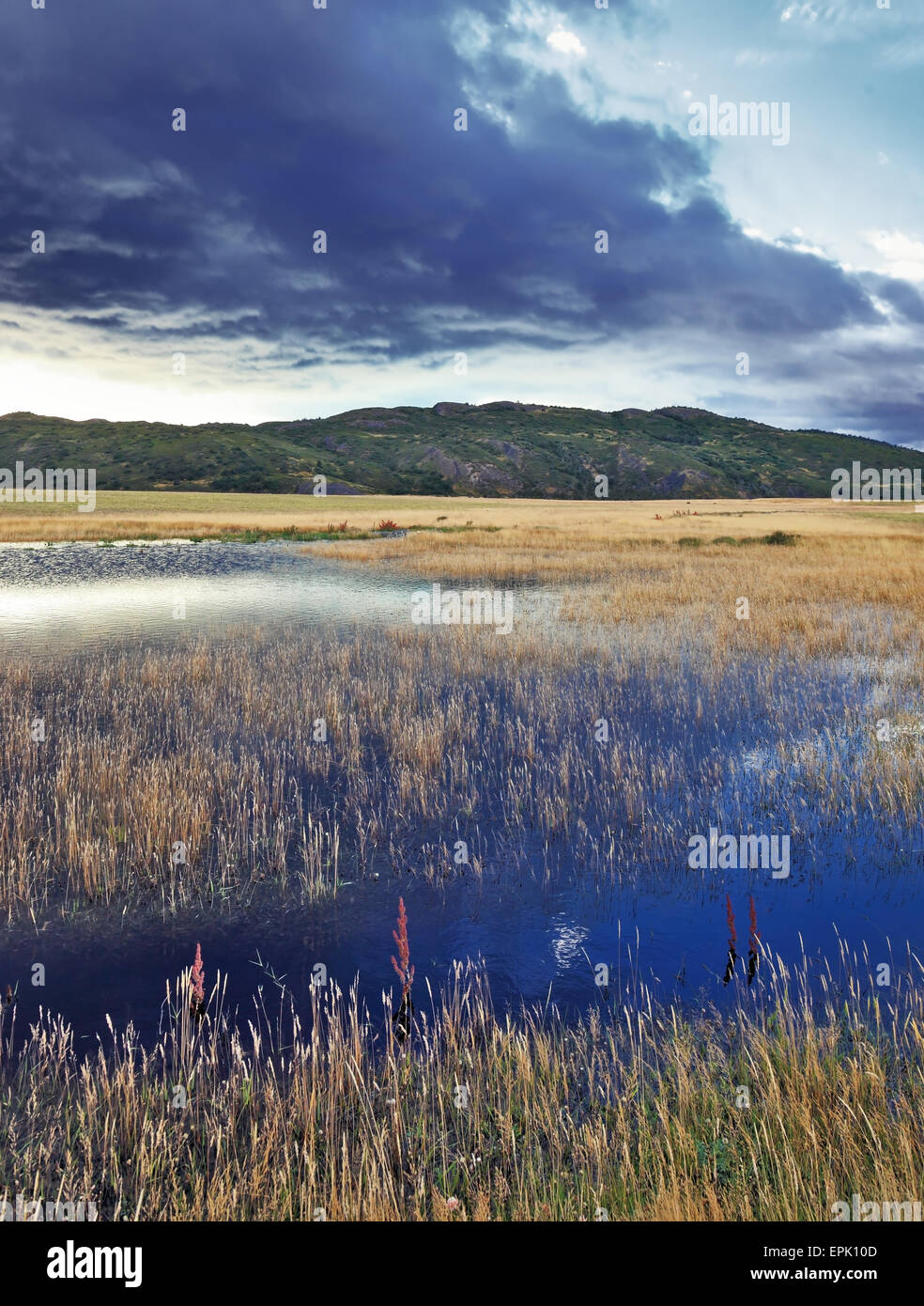 Overgrown with grass hi-res stock photography and images - Alamy