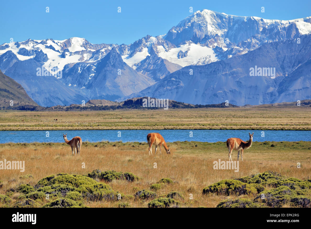 Bible landscape - a field and lake Stock Photo - Alamy