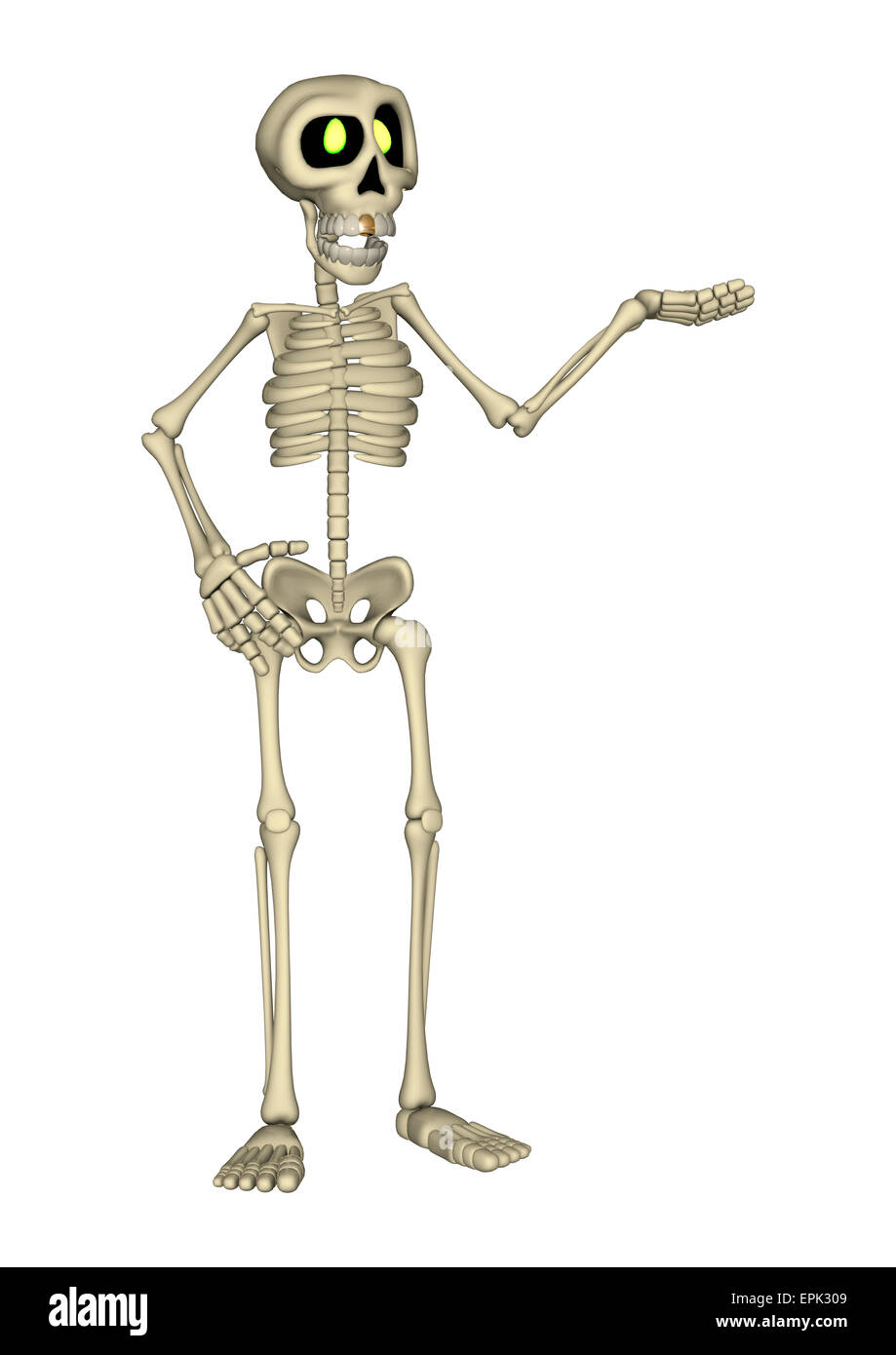 3D digital render of a cartoon human skeleton isolated on white ...
