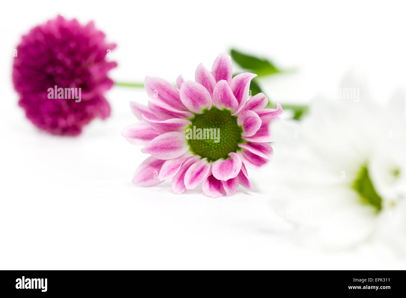 Weiss pink hi-res stock photography and images - Alamy