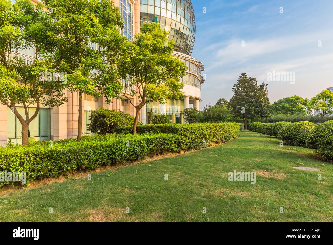 Asian office green hi-res stock photography and images - Alamy