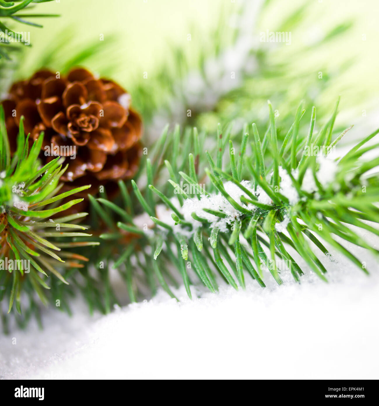 Advent twig hi-res stock photography and images - Alamy