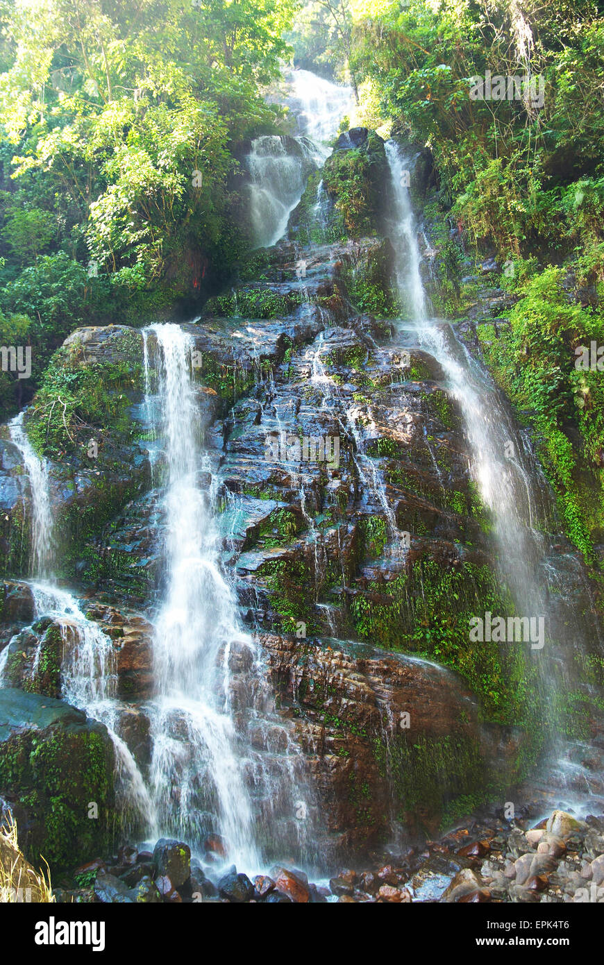 Waterfall in the forest Stock Photo - Alamy