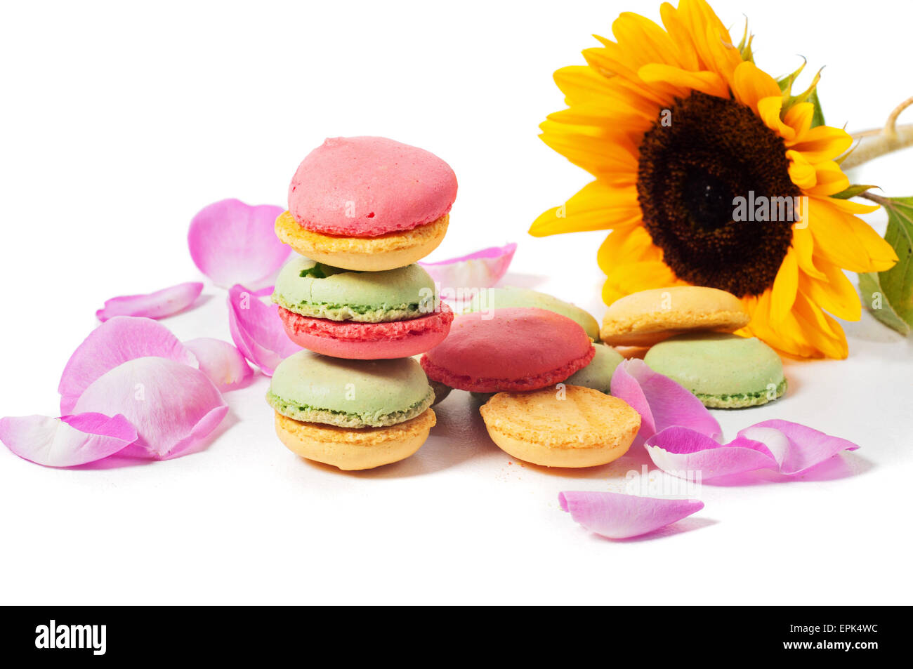 Macaron flower hi-res stock photography and images - Alamy