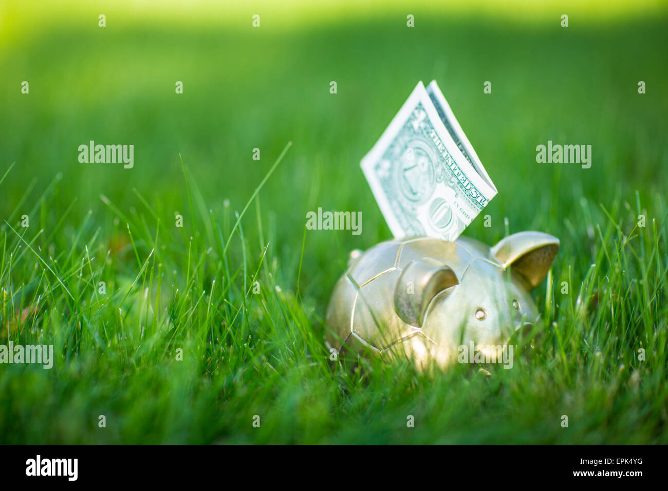 Finance and nature hi-res stock photography and images - Alamy