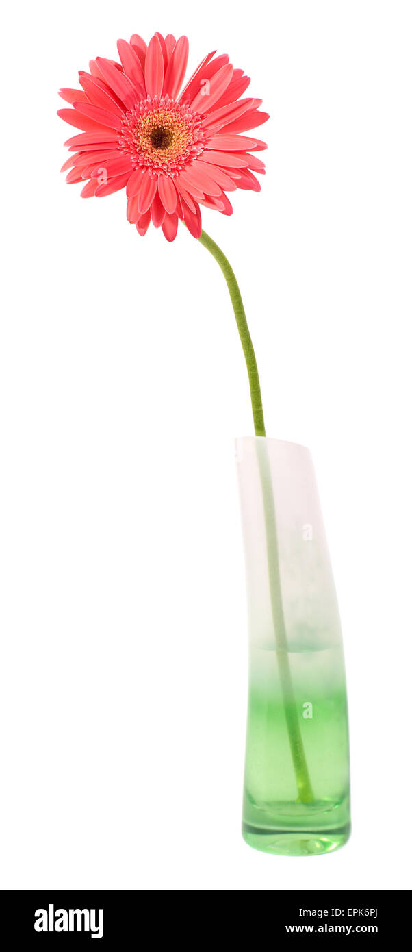 Beautiful flower in macro Cut Out Stock Images & Pictures - Alamy