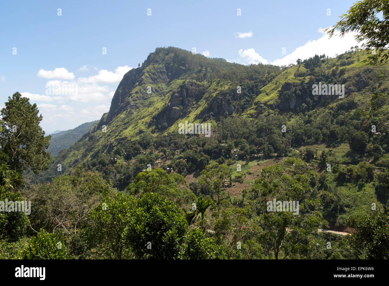 Ella Rock mountain, Ella, Badulla District, Uva Province, Sri Lanka ...
