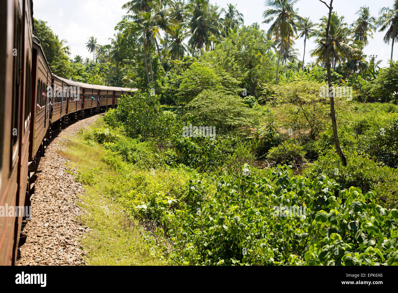 Train between trees hi-res stock photography and images - Alamy