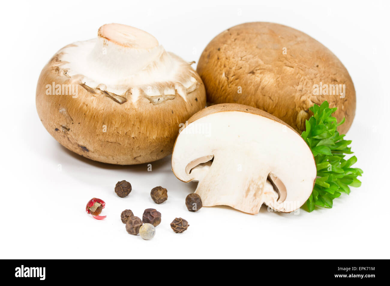 Mushrooms champignons close up Cut Out Stock Images & Pictures - Alamy