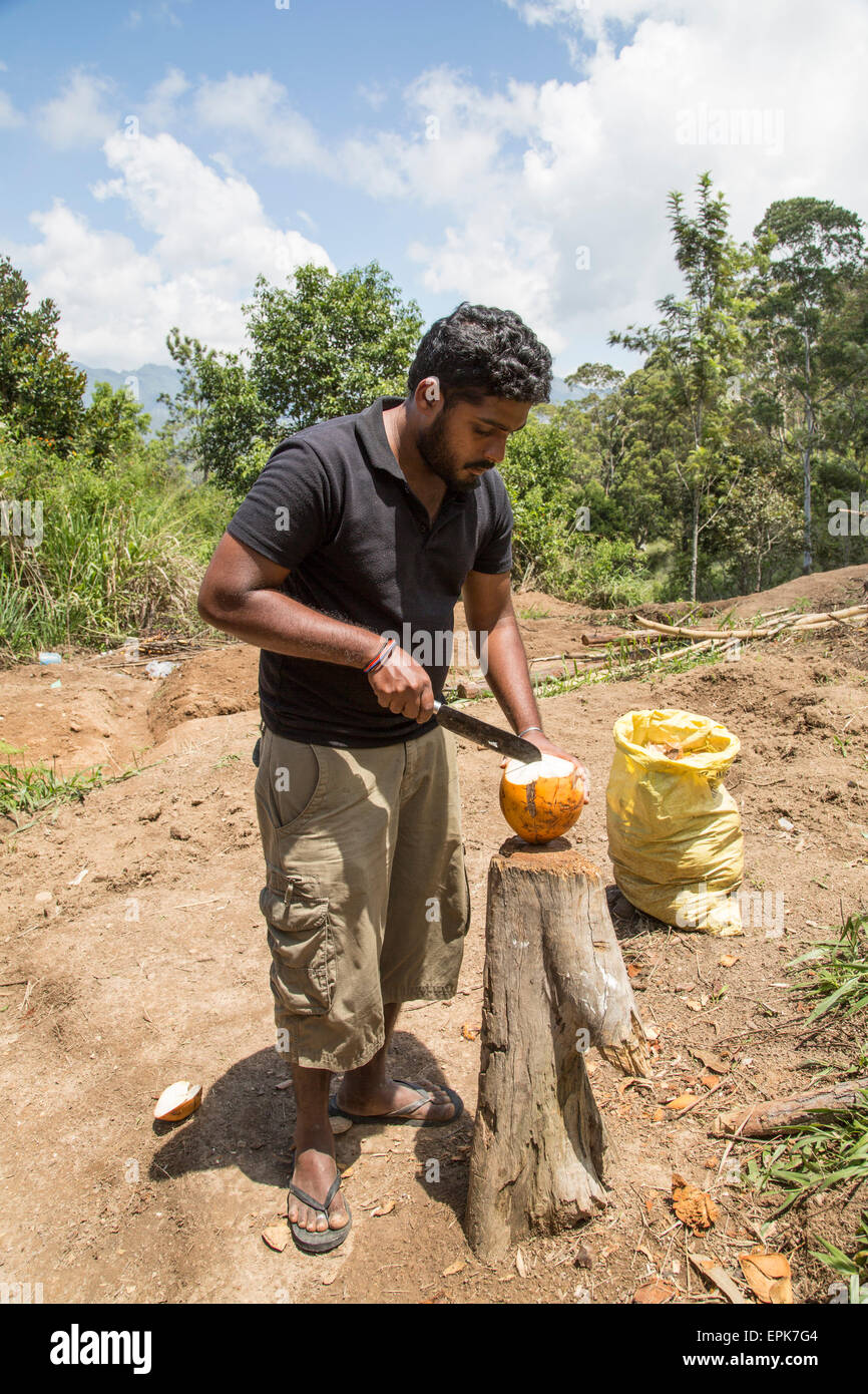 Sri lanka coconut man hi-res stock photography and images - Alamy