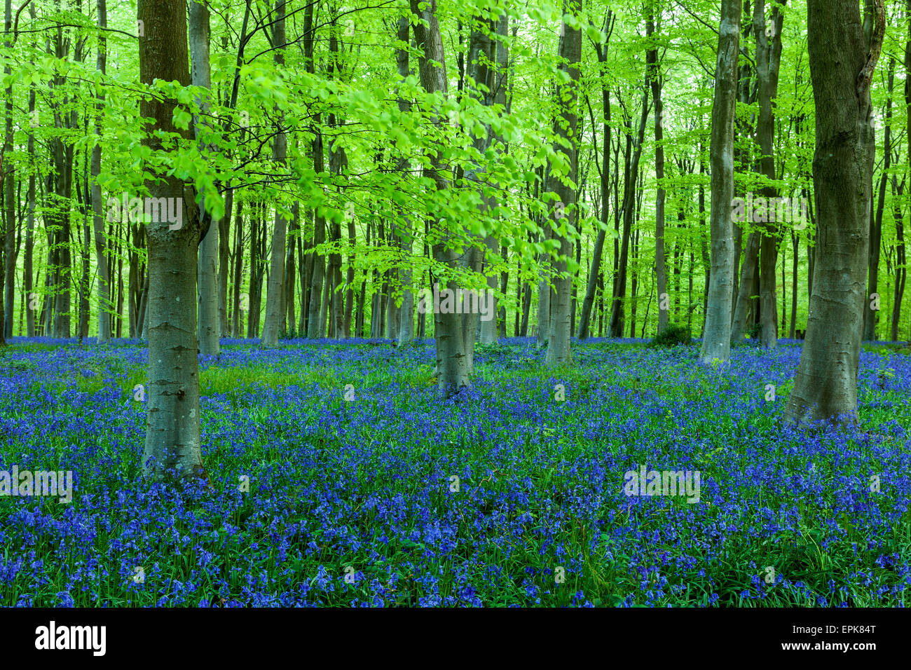 Non directional hi-res stock photography and images - Alamy