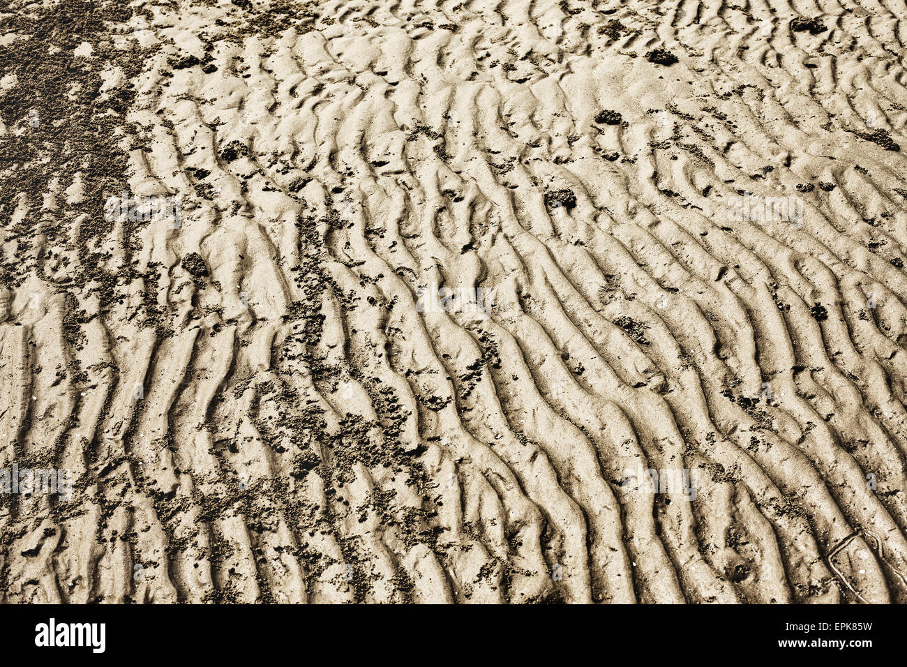 Seabed texture hi-res stock photography and images - Alamy