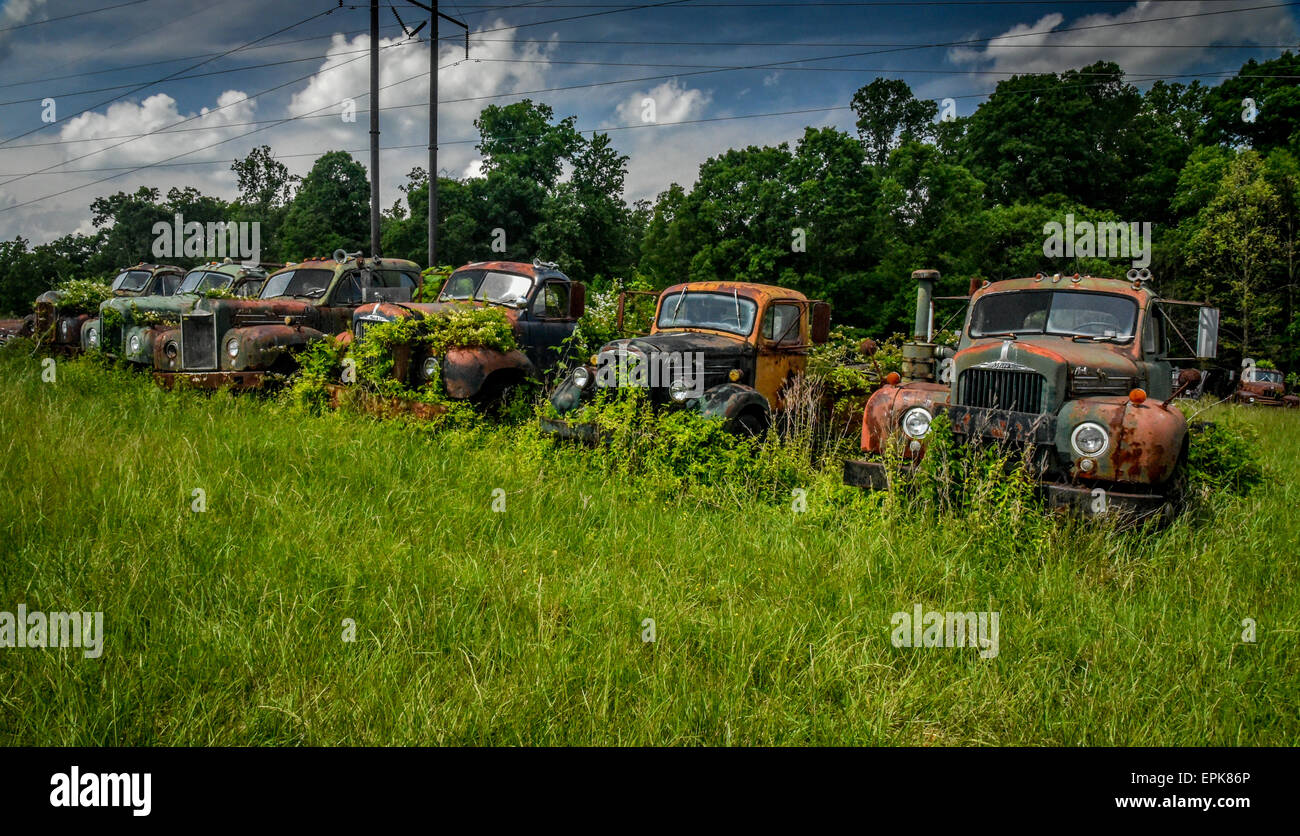 Junkyard trucks hi-res stock photography and images - Alamy
