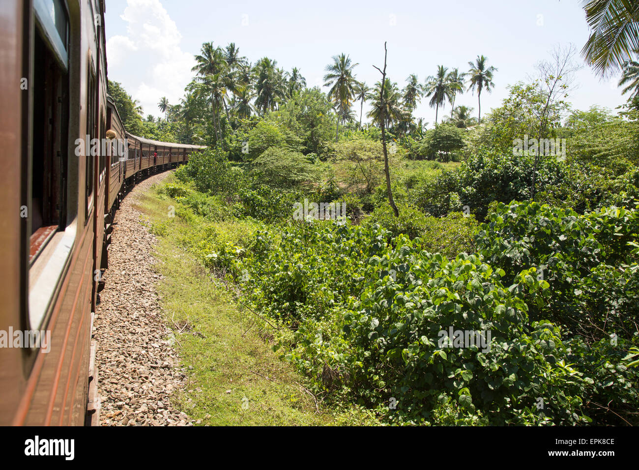 Train between trees hi-res stock photography and images - Alamy